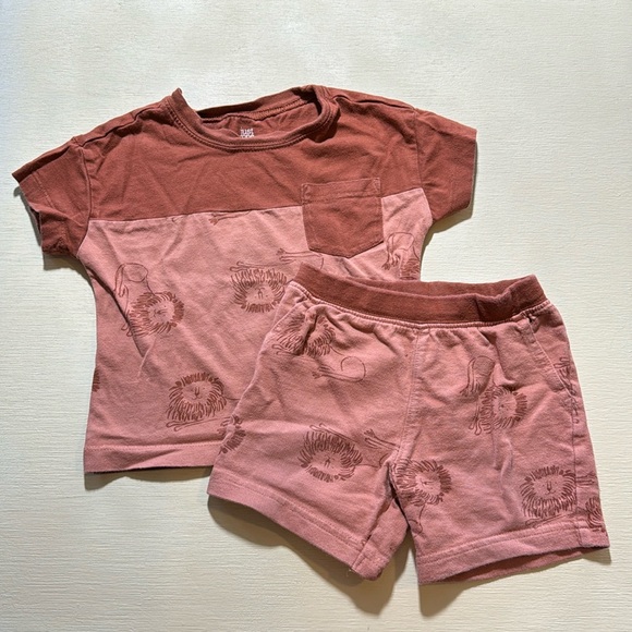 Carter's | Matching Sets | Just One You Matching Lion Set | Poshmark